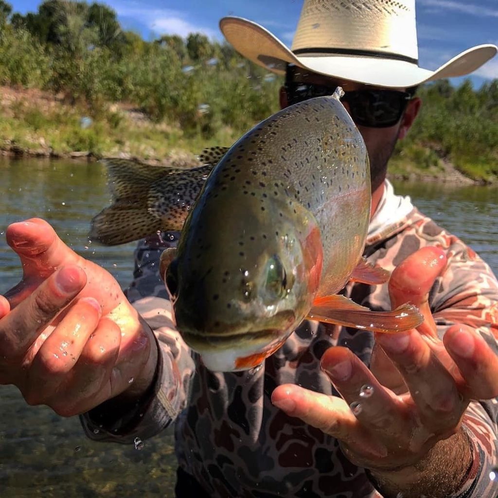 Fishing Report | South Fork of the Snake River | The Lodge at Palisades Creek