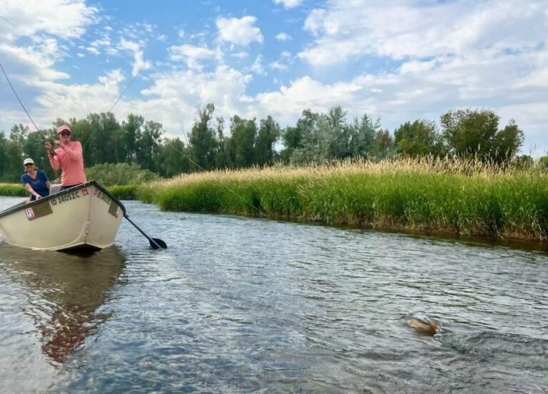 Select South Fork of the Snake River Fishing Report 6/26/2025 - The Lodge at Palisades Creek